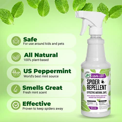 Mighty Mint - 16oz Spider Repellent Peppermint Oil - Natural Spray for ...