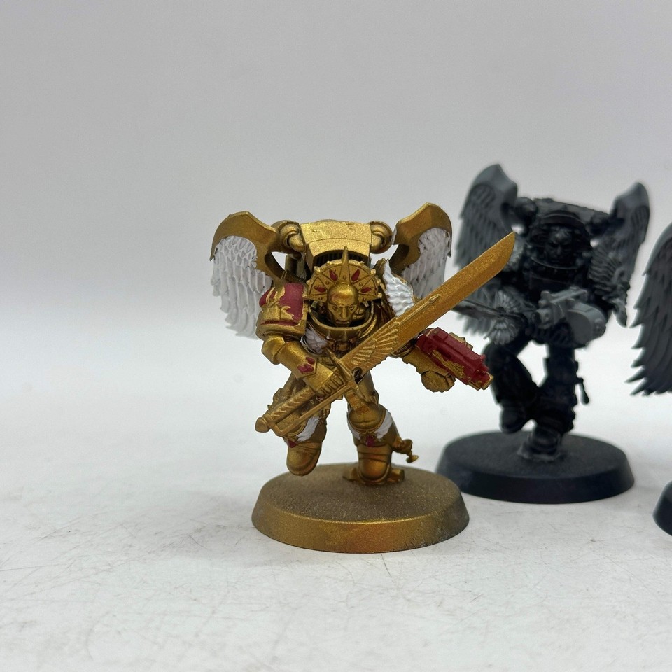 Warhammer 40k: Space Marine Blood Angels Sanguinary Guard OLD (BJ027 ...