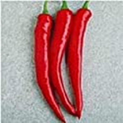 Cayenne Long Red Hot Peppers Seeds (((25 Seed Packet))) (More Heirloom ...