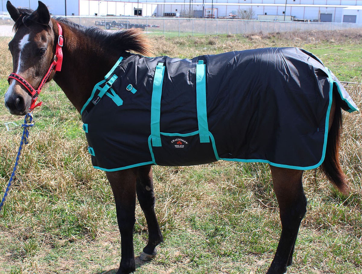 Miniature Horse Waterproof Blankets Deluxe Mini Horse Insulated