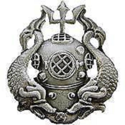 NAVY MASTER DIVER SCUBA MILITARY BADGE PIN | eBay