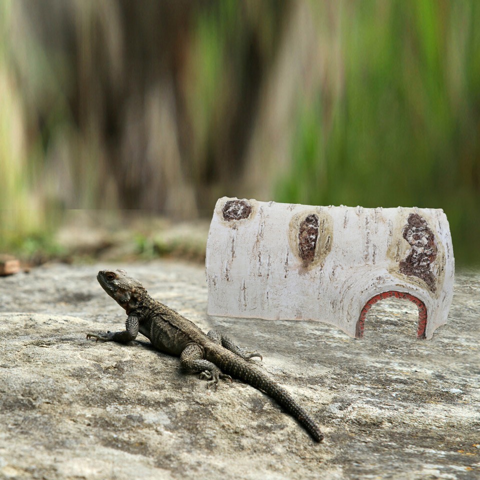 Tortoise Hideout Prop Unique Turtle Hiding Cave for Reptiles Terrarium ...