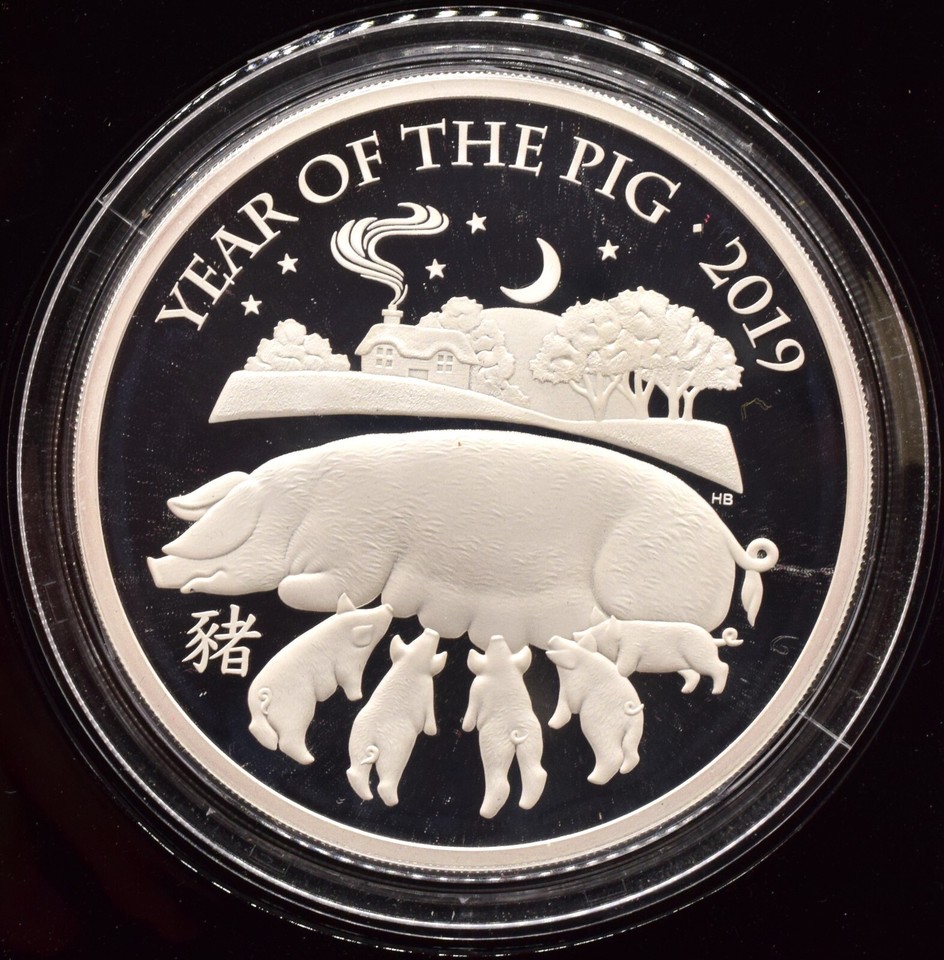 Coin 999 Silver Proof Lunar Year Of Pig 5oz 2019 Royal Mint BOX + COA ...