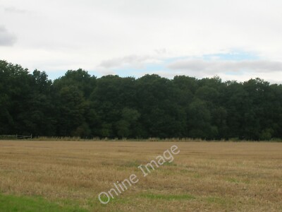 Photo 6x4 Parkshaw Wood Balne c2011 | eBay UK