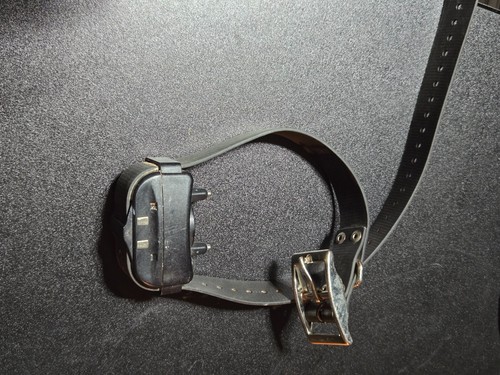 Tri-Tronics EXP Training Dog Collar Only | eBay