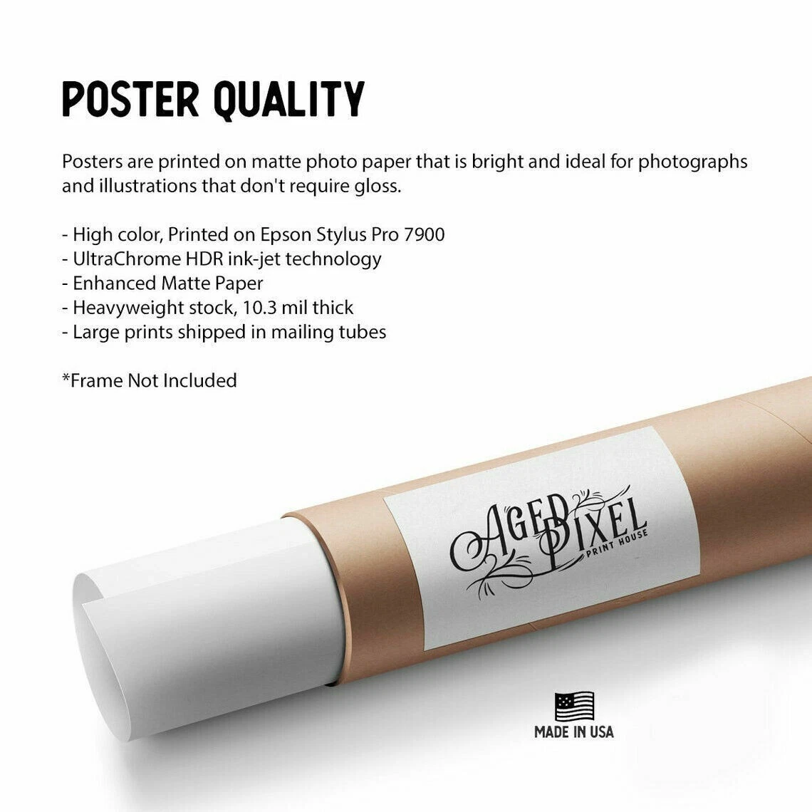 Diary Of A Wimpy Kid Rodrick Rules Movie Poster