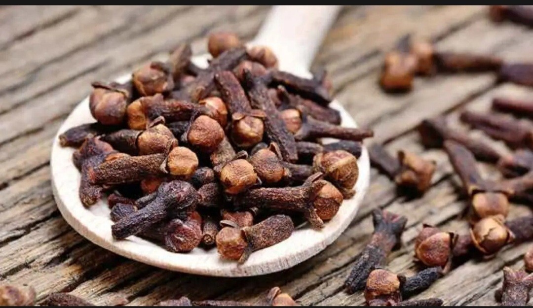 High Quality Organic Ceylon Karabu Nati Herbal FREE SHIPPING 10g/50g | eBay