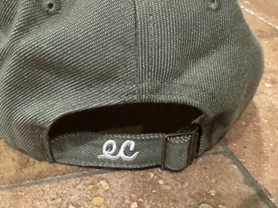 EC Earth Cap Green Sea Turtle Adjustable Strap Baseball Hat Sold Out ...