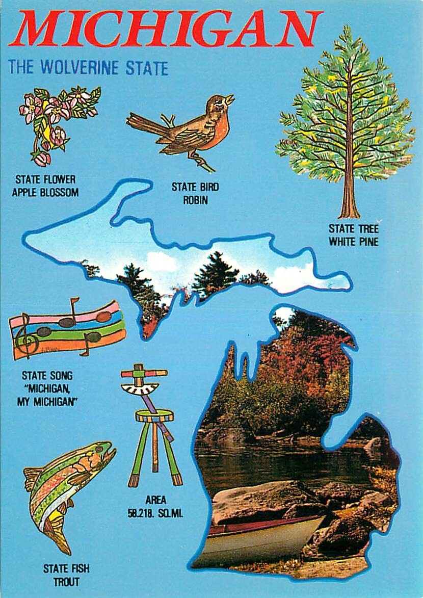 Michigan State Flower