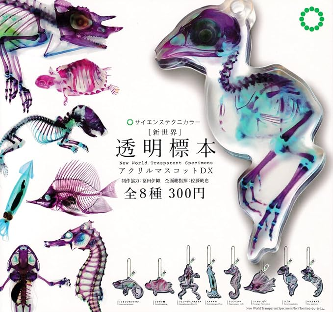 (Capsule toy) Science Transparent specimen Acrylic Mascot DX [all 8 ...