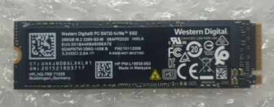 Western Digital WD PC SN720 SDAPNTW-256G-1006 256GB 2280 M.2 SATA SSD ...