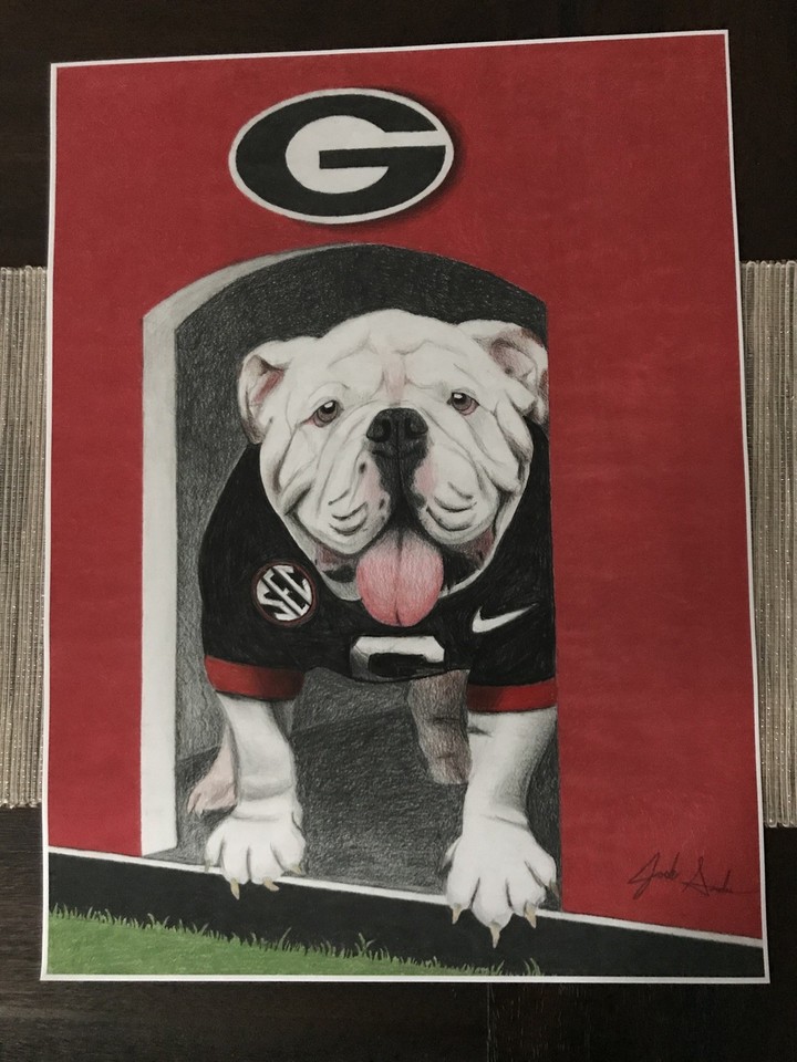 georgia bulldogs Uga mascot drawing artwork | eBay