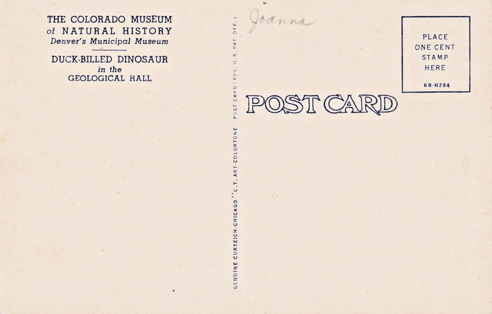 Postcard CO Denver Colorado-Dinosaur-Geological Colorado Museum-Vintage ...