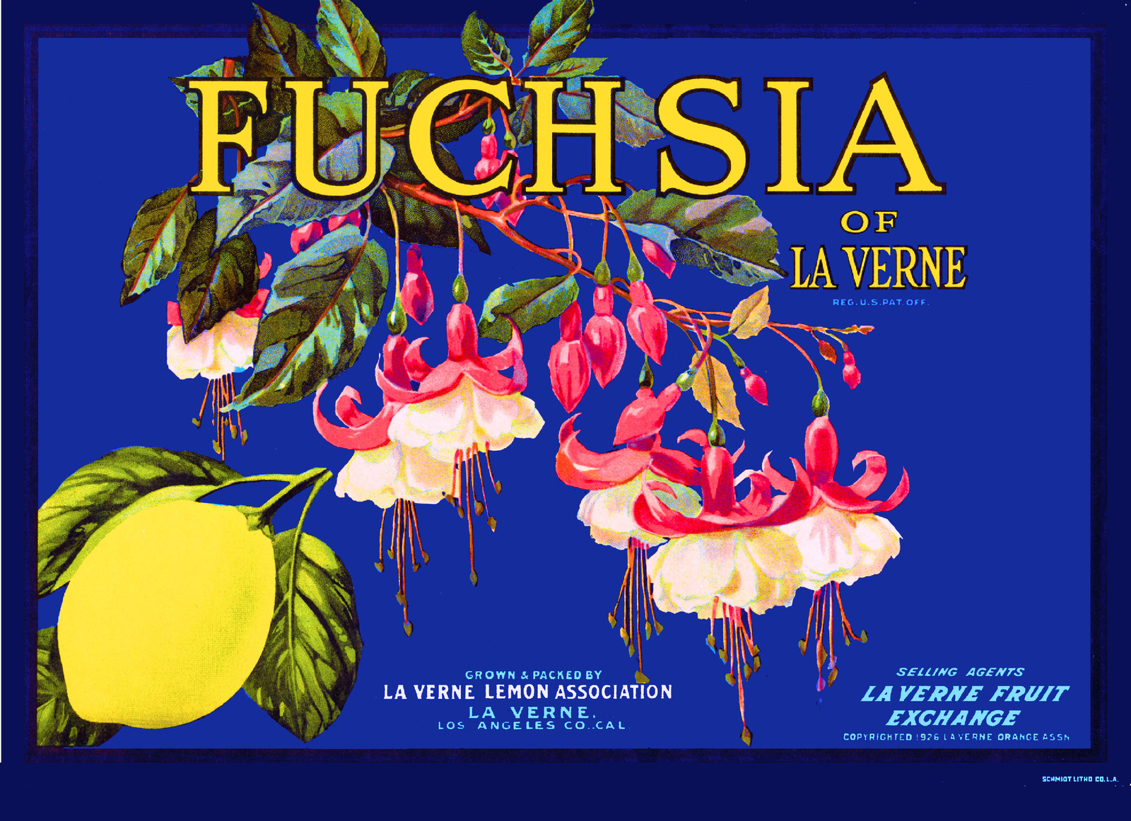 La Verne California Fuchsia Flowers Lemon Citrus Fruit Crate Label Art ...