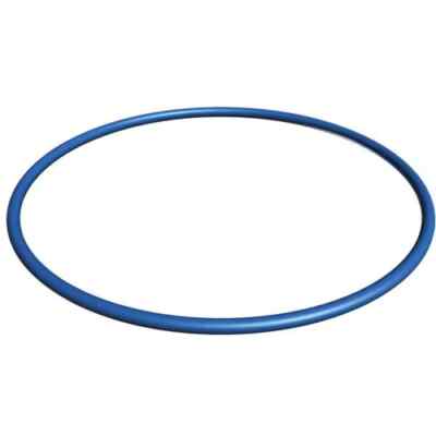 Hayward GMX600F Valve/Tank O-Ring | eBay