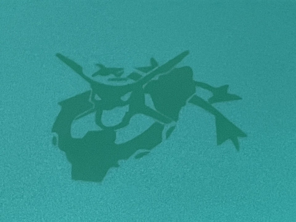 Nintendo Game Boy Advance SP Rayquaza Edition Normal Screen Japan ...