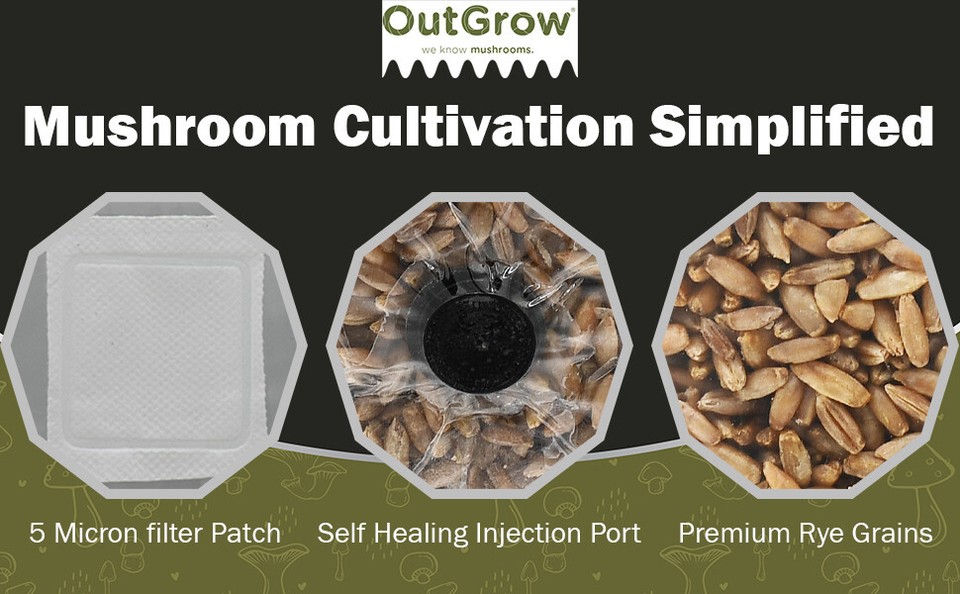 Mono Tub Fill Kit | Mushroom Substrate & Grain Spawn for 50-60 Quart ...