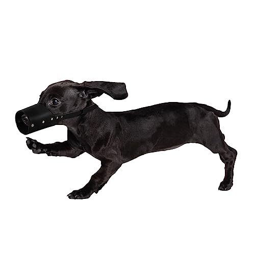 , Dog Muzzle Guard, Secure, Prevents Biting Chewing, Pitbull German ...