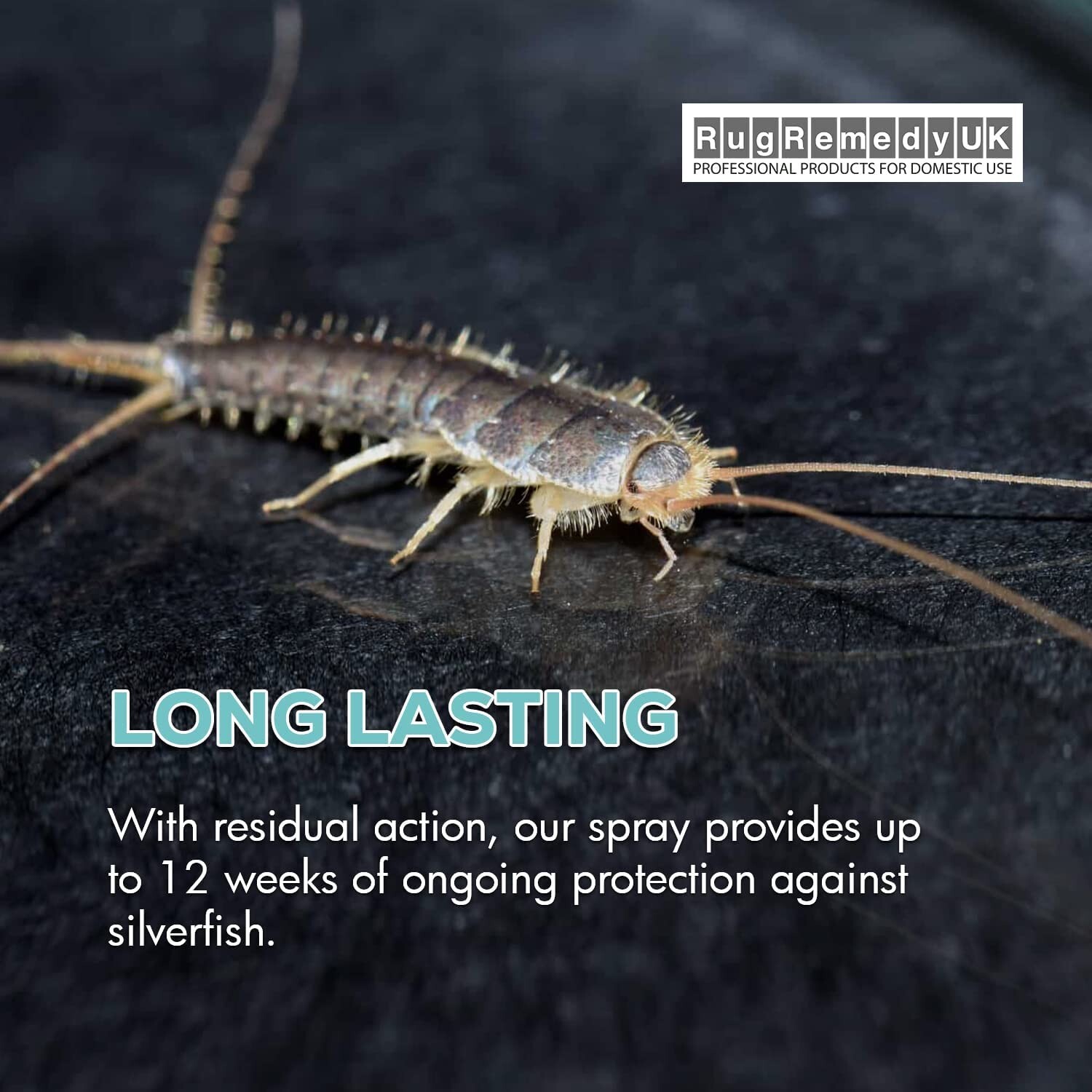 Silverfish Killer...Kills Silverfish...GUARANTEED! 1 Litre | eBay UK