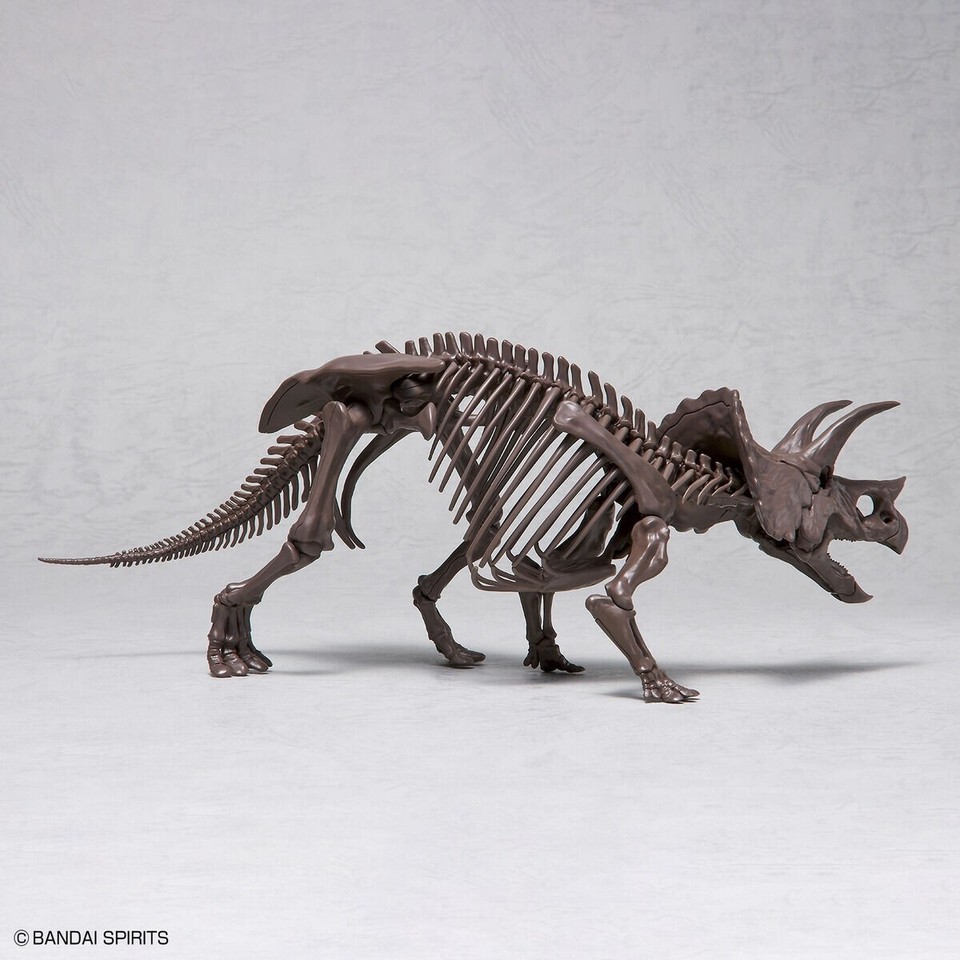 Triceratops Imaginary Skeleton 1/32 Scale Plastic Model Kit Bandai ...