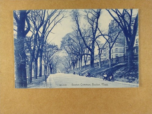 Boston Common Boston MA vintage postcard | eBay