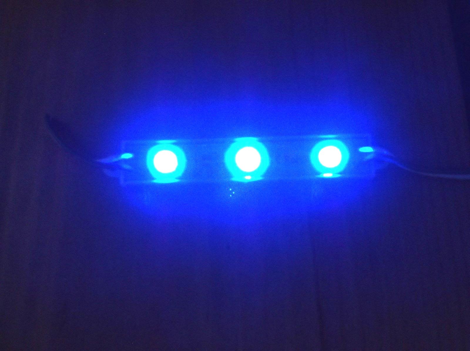 12 BBT 12 volt Blue LED Courtesy Lights | eBay