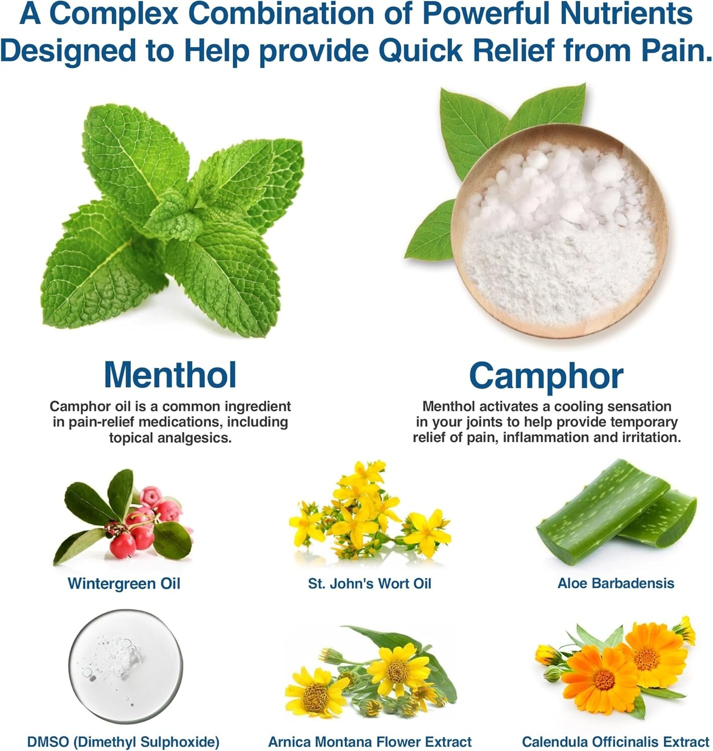 Arctic Blast Topical Pain Relieving Liquid - Fast Relief for Muscle ...