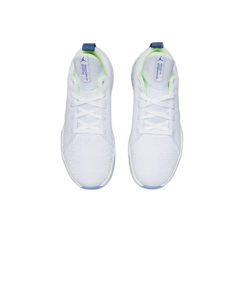 Nike Air Jordan Jumpman Diamond PF Low White Blue Green FB7169-131 | eBay