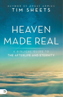 Tim Sheets Heaven Made Real (Poche) | eBay