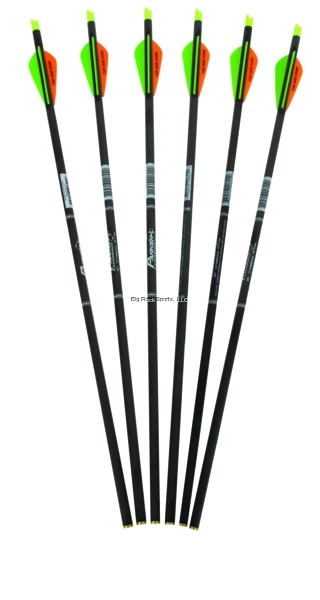 2 Parker Crossbow Hunter Carbon Bolts 20" Arrows Capture Nock for sale ...