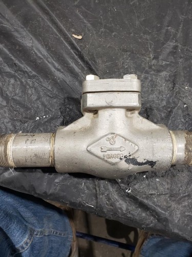 Dsi 4321A8-18 Check Valve 800 Stainless Steel Socket Threaded 1-1/2 ...