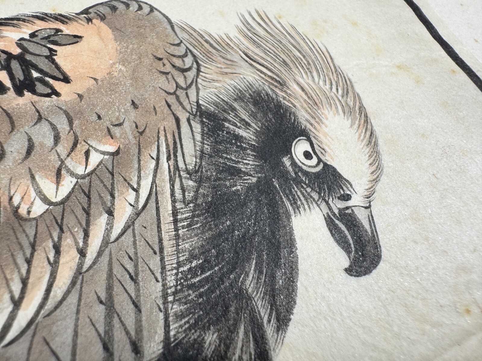 Japanese Drawing Book “Kachoshu” Picture of birds and flowers 49 ...