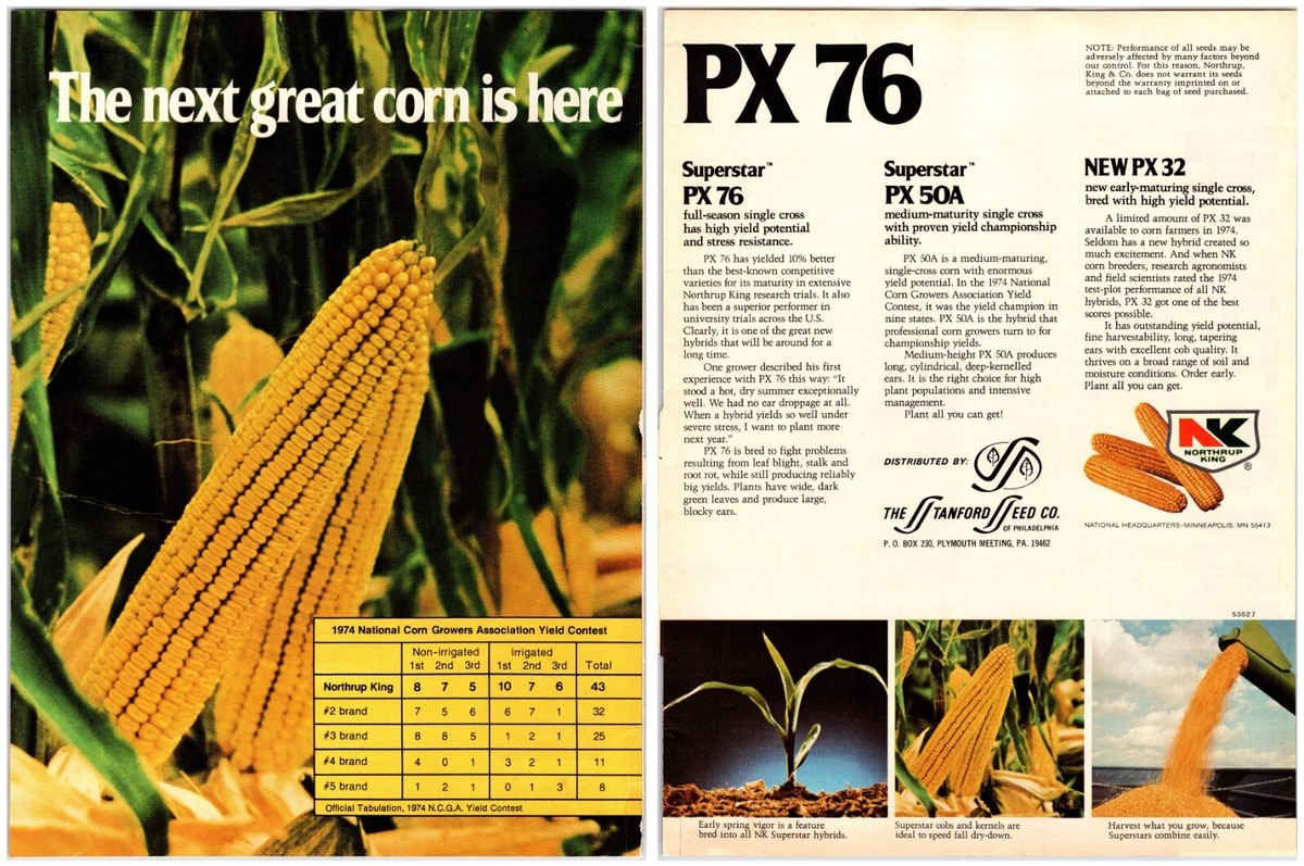 Seed Corn Quotes How Shrinking Corn Could Help Farmers—and The