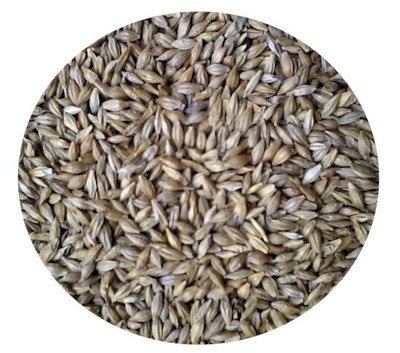 Milling Barley for Milling Wholemeal Barley Flour | eBay