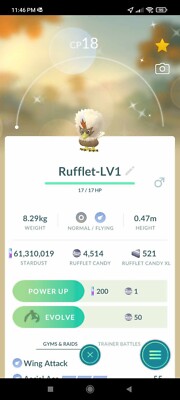 Pokemon Shiny Rufflet LV1 -TRADE 20k Dust Registered Shiny Rufflet ...