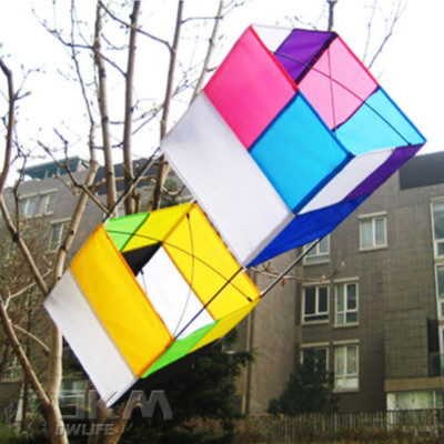 34" / 85CM Traditional 3D Box Single Line Kite For Beginners Kids with ...