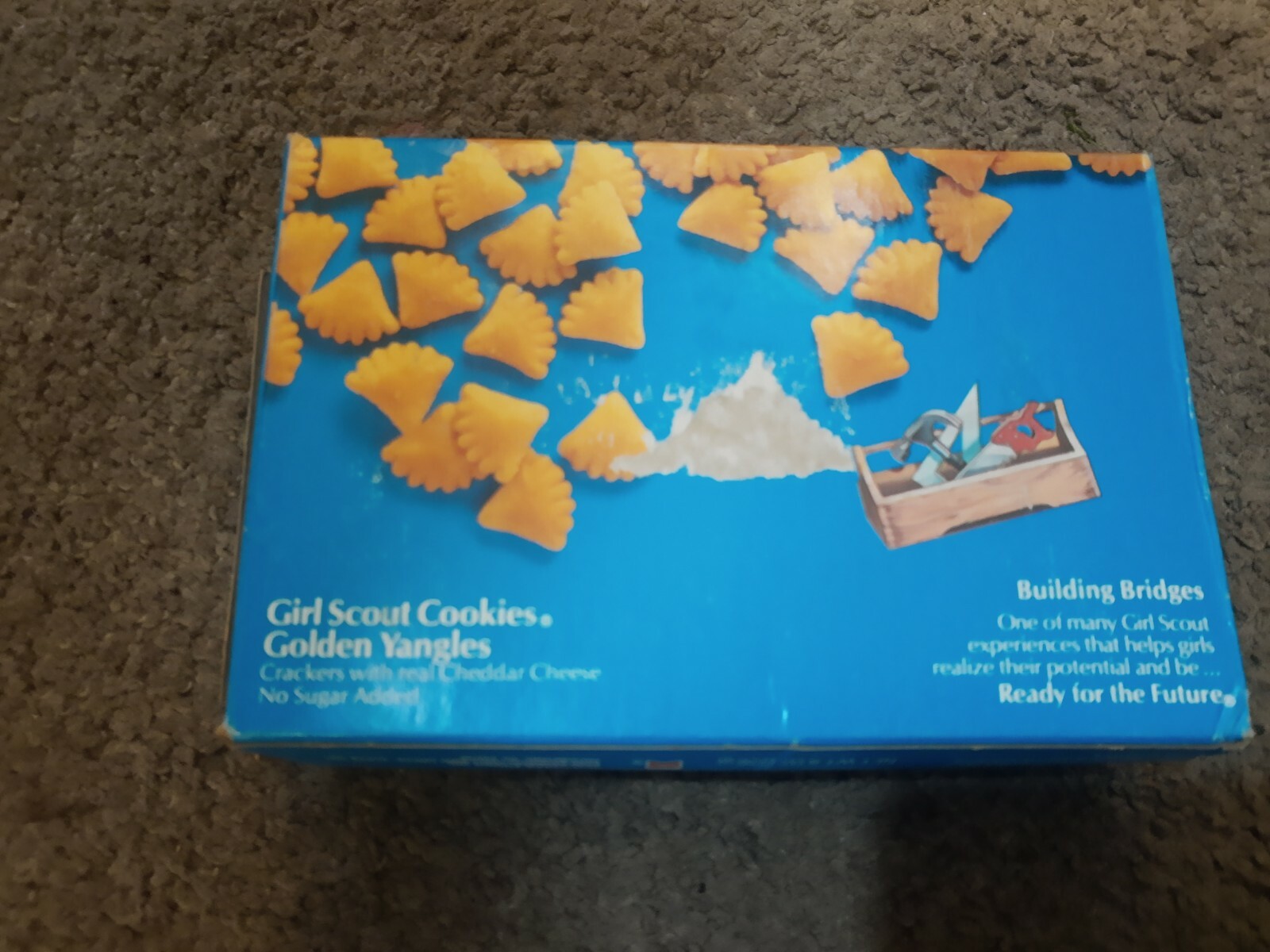 1980s Vintage Girl Scout Cookie Box ( 1/2 FULL!) Golden Yangles ...