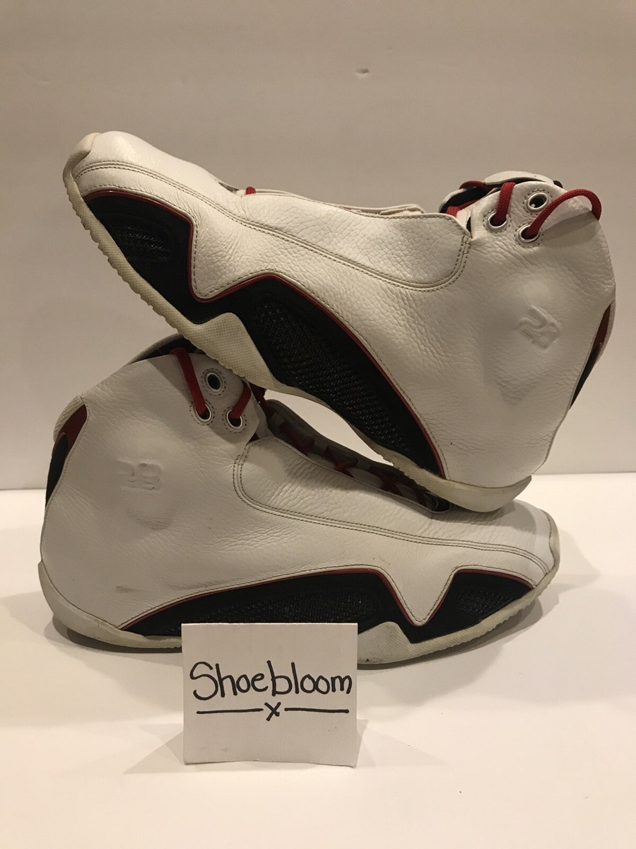 Jordan 11 Ray Allen Heat