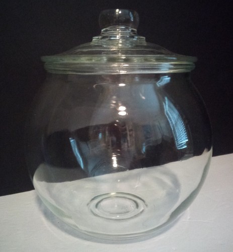 Cookie Jar 8