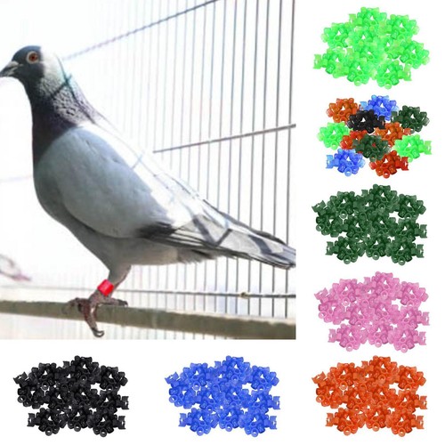 100x Birds Foot Bands Tags Competition Pigeon Clip On Leg Rings for ...
