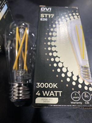 LED Bulb, 2 Pack ST17 E26 Base 4 Watt DVI 3000k- - w1 | eBay