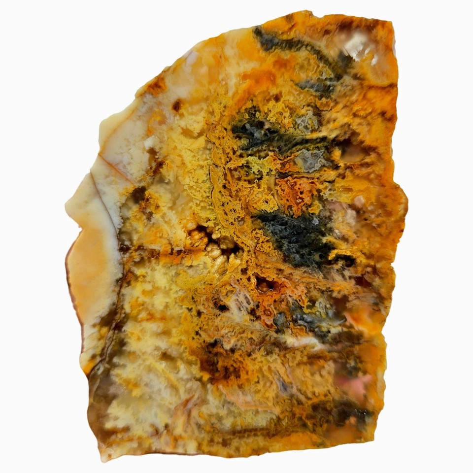 Regency Rose Plume Agate Slab - Hematite Marcasite Plume - Oregon ...