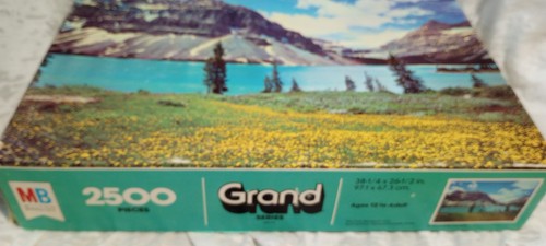 Jigsaw Puzzle 2500 pc. Bow Lake Canada Grand Series 4870 | eBay