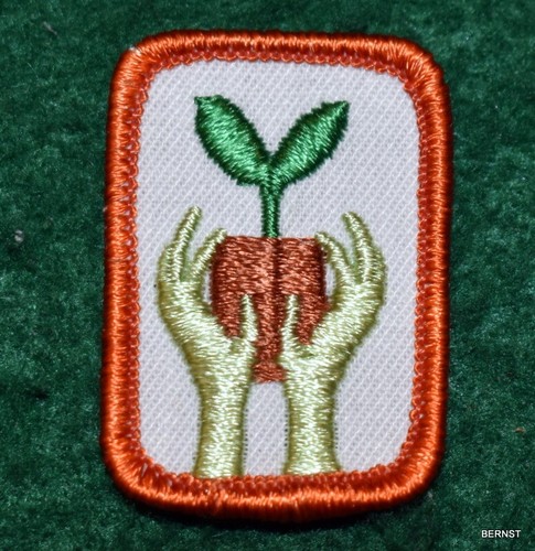 GIRL SCOUT INTEREST PROJECT PATCH - ORANGE - PLANT CULTURE - FREE ...