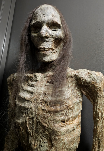 Life Size Corpse Prop 5ft Horror Skeleton Movie Haunted House ...