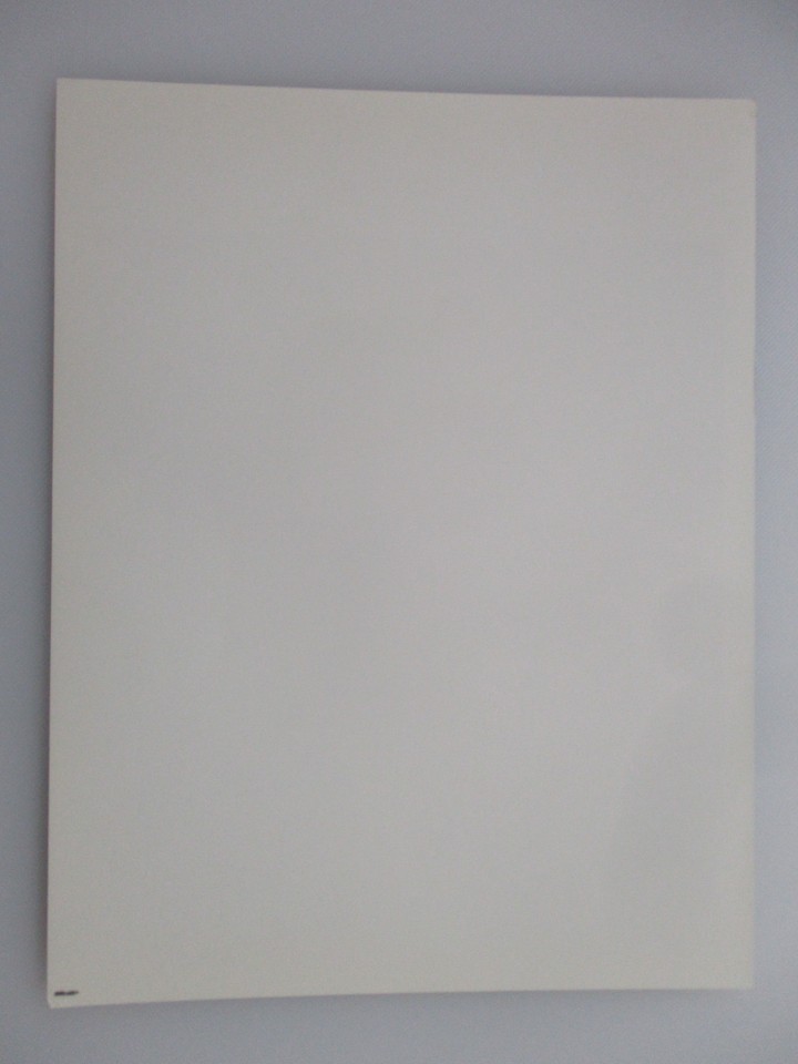 PRESS PROMO PHOTO 1983 MOVIE INDEPENDENCE DAY DAVID KEITH & CLIFF DE ...