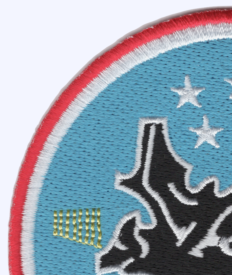 VQ-2 Aviation Air Reconnaissance Squadron Two Patch-Bat | eBay