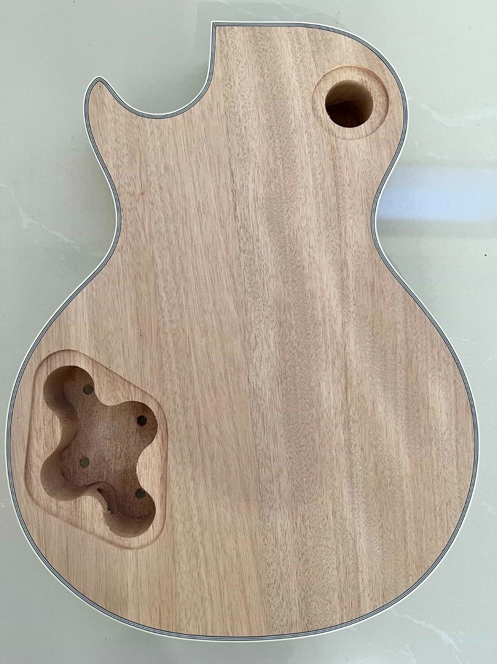 DIY Electric Guitar Kit LP Type Flame Maple Top Archtop Binding FREE ...