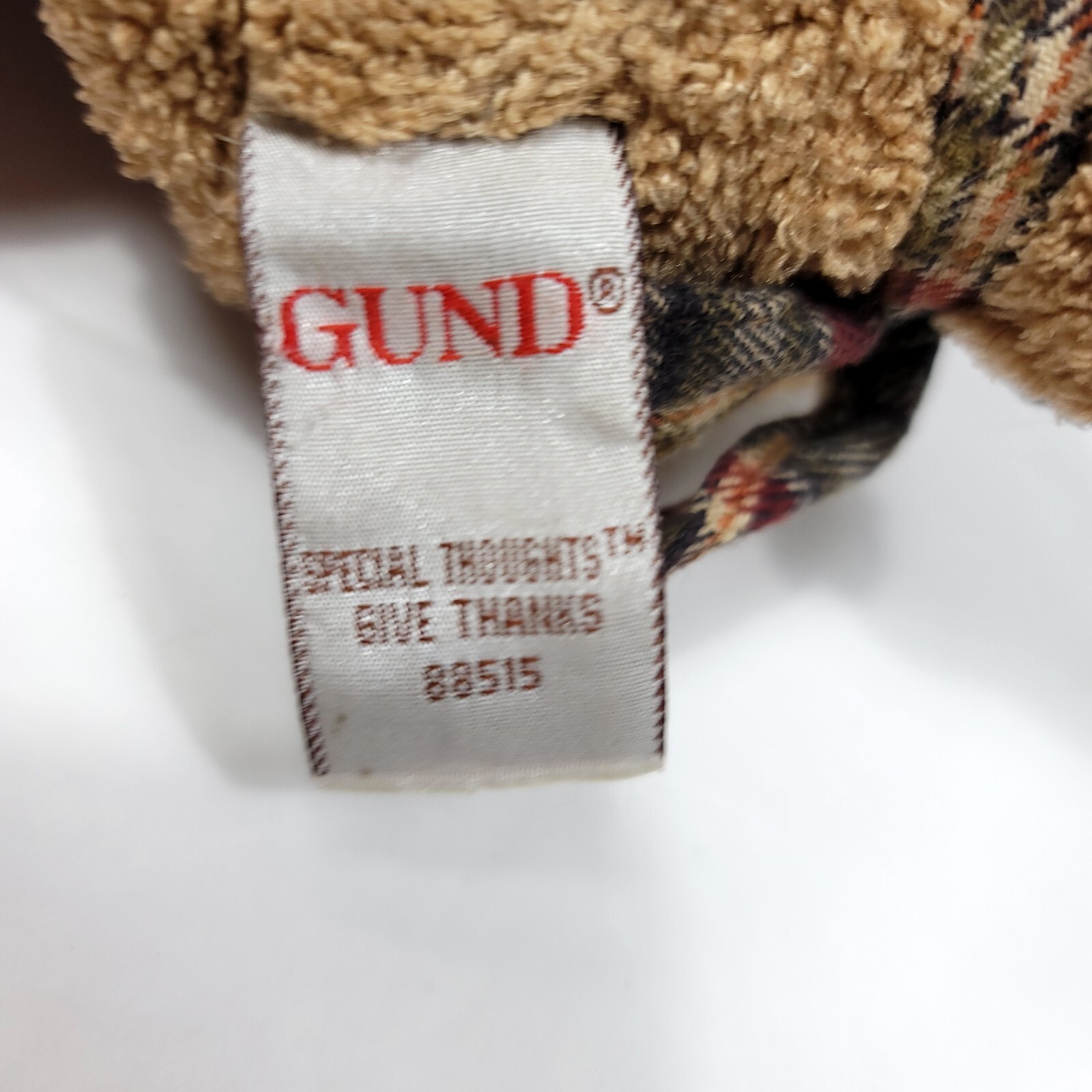 Give Thanks Thanksgiving Raccoon Holding Pumpkin Gund Plush Stuffed ...