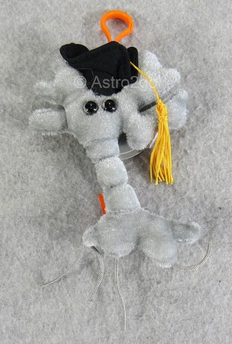 GIANT MICROBES-GRADUATION BRAIN CELL KEY CHAIN-Stuffed Plush Neuron Cap ...